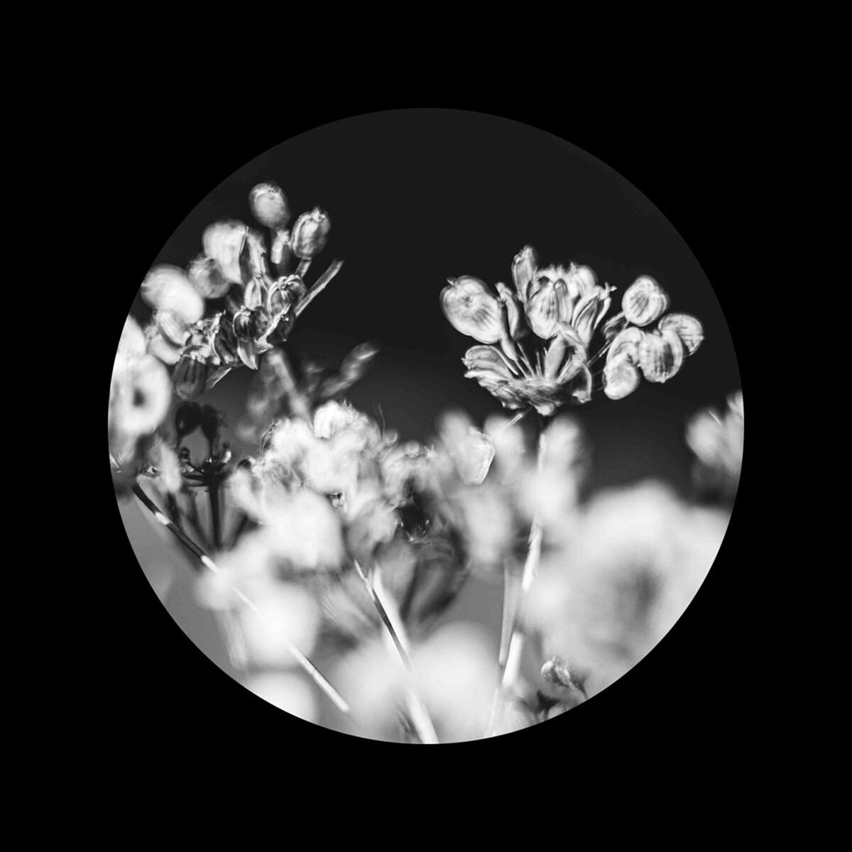 Fine-Art and Mindful Photography - Stéphane Garnavault